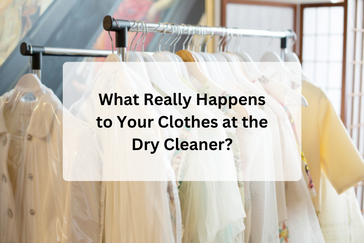What Really Happens to Your Clothes at the Dry Cleaner?